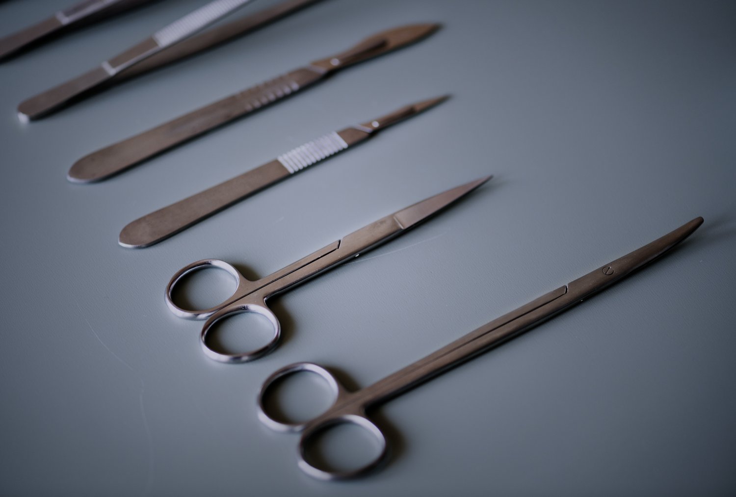 Vestibulectomy