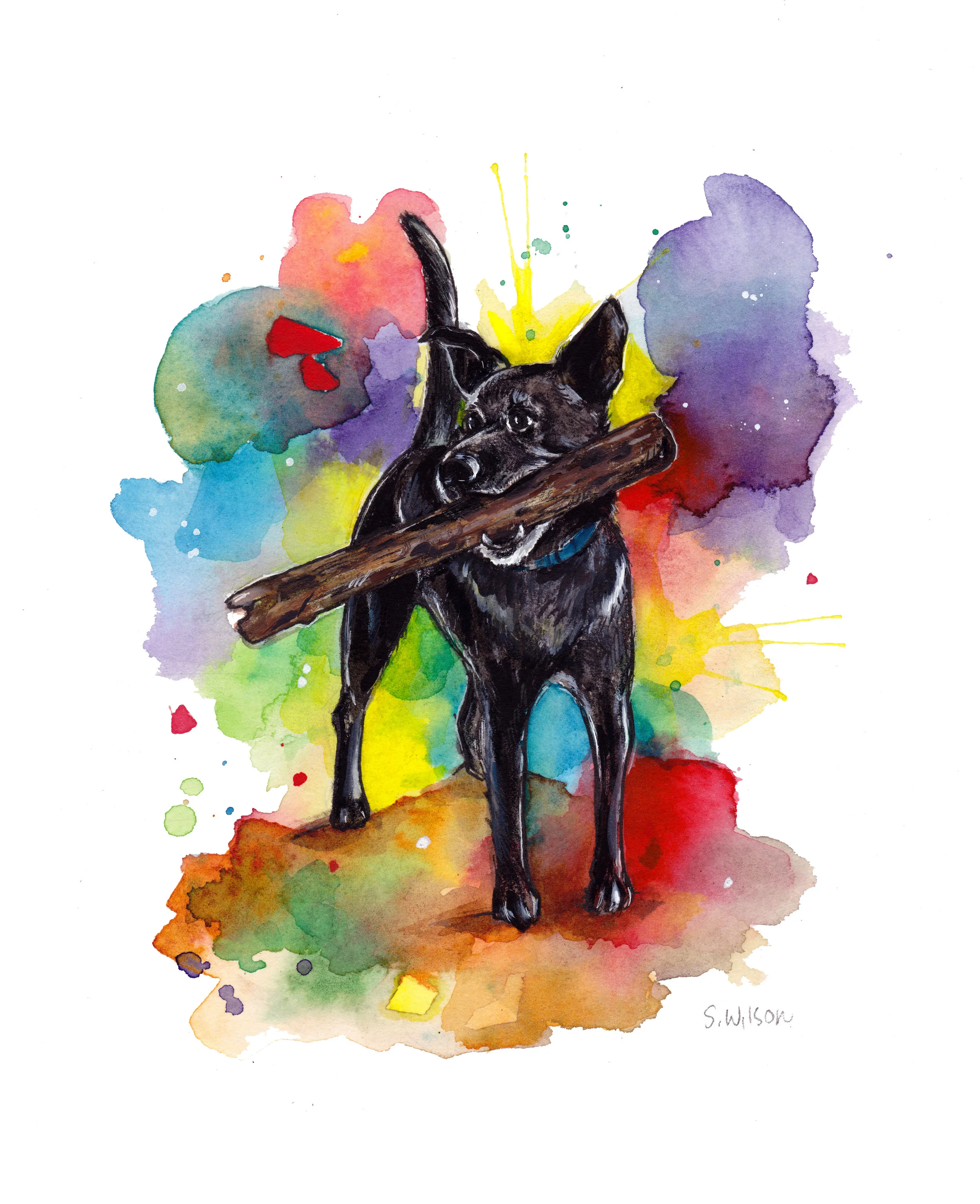pet portraits — Suzy Wilson Art