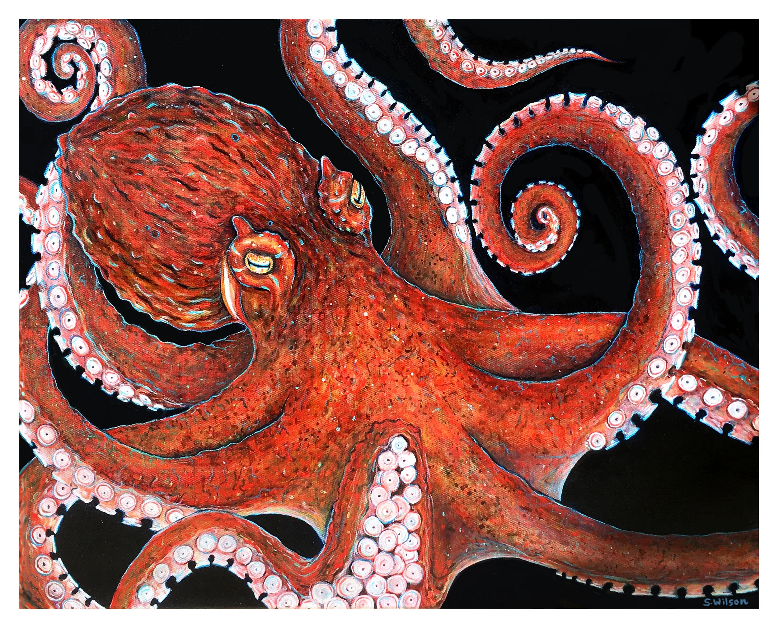 shop — Suzy Wilson Art