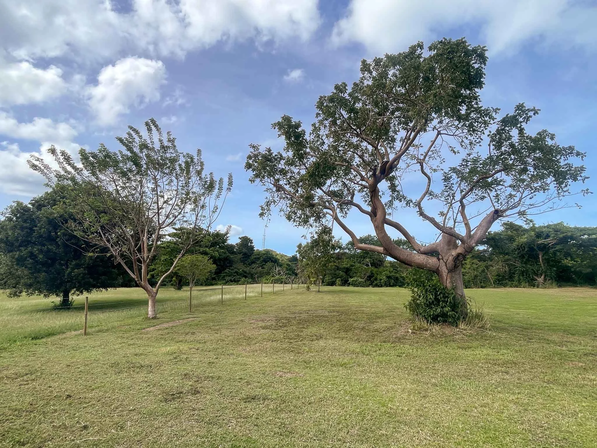 Land For Sale In Puerto Rico-Paraiso Realty
