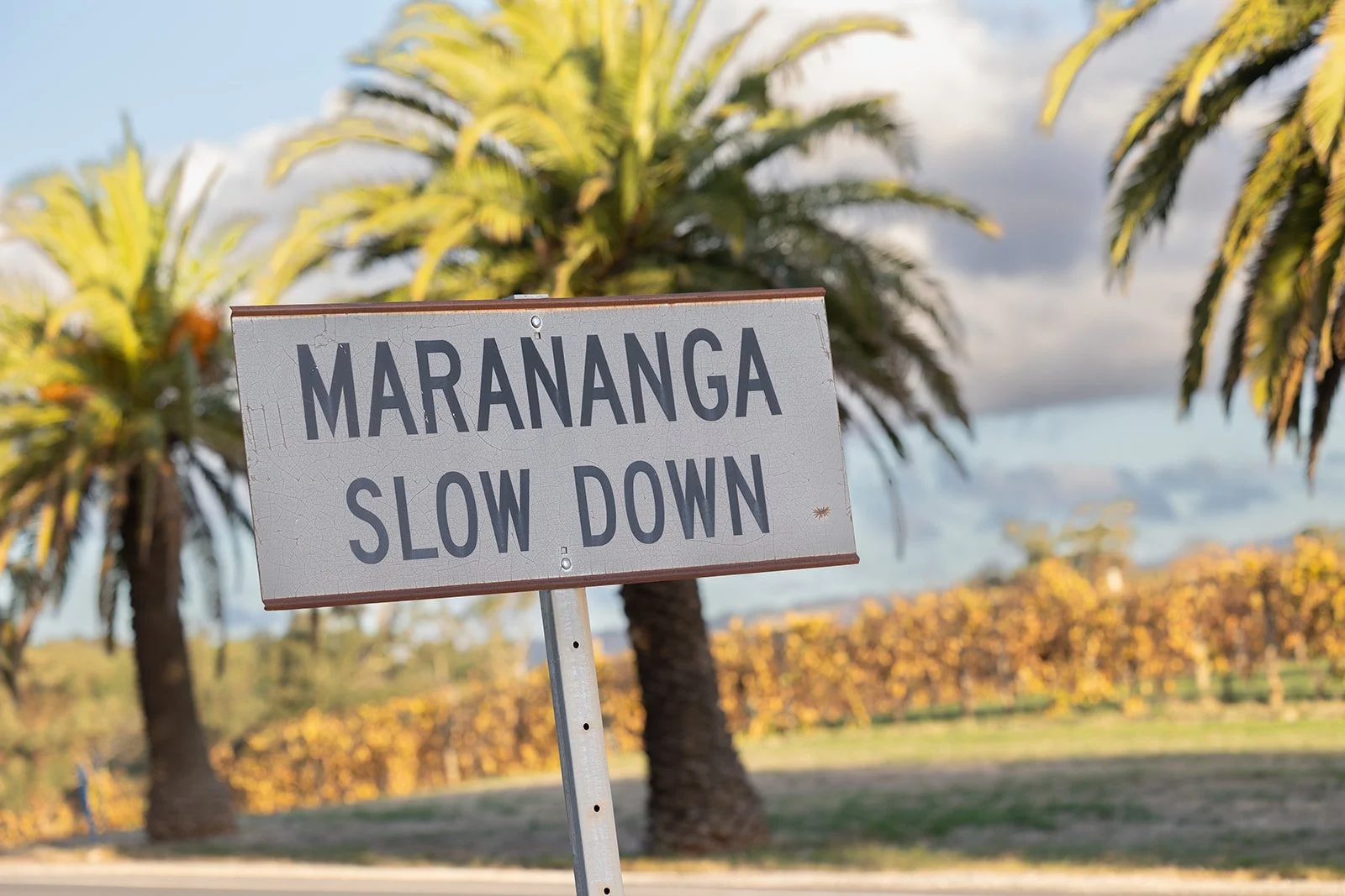 Re-discover life's simple pleasures | The Villas - Barossa