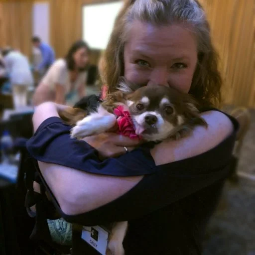 About — The Street Dog Project