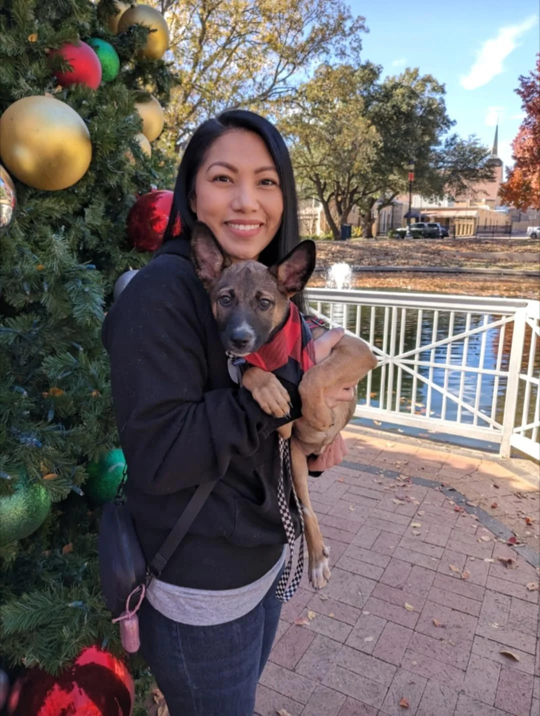 About — The Street Dog Project