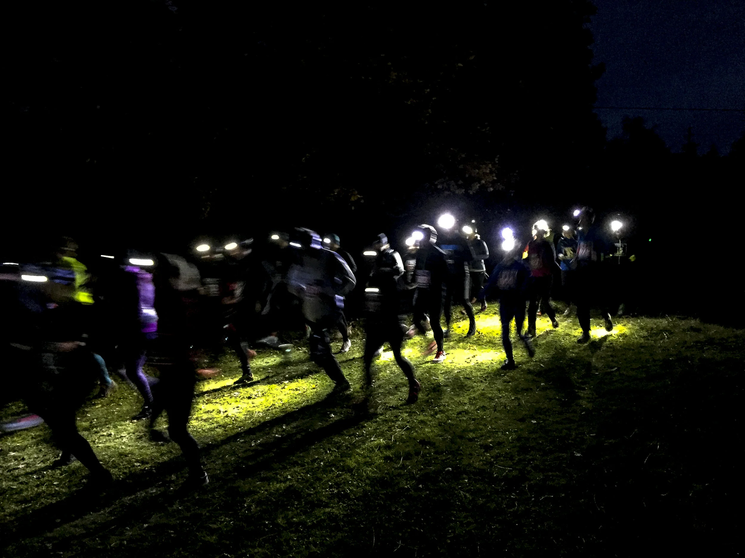 Night Trail Run