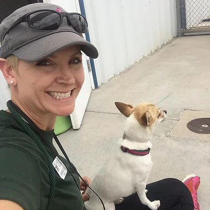Meet the Team — The Good Dog Rescue