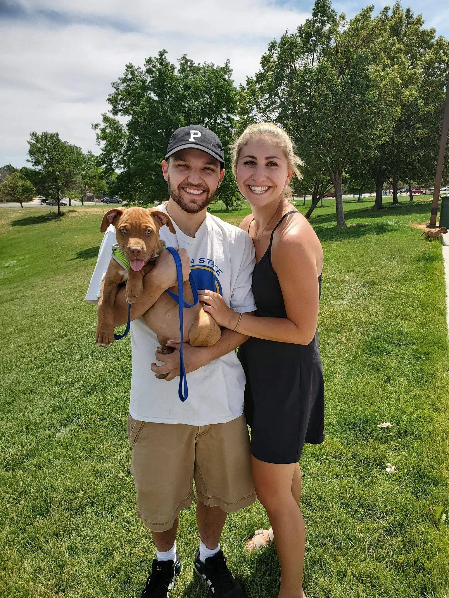 How to Adopt — The Good Dog Rescue