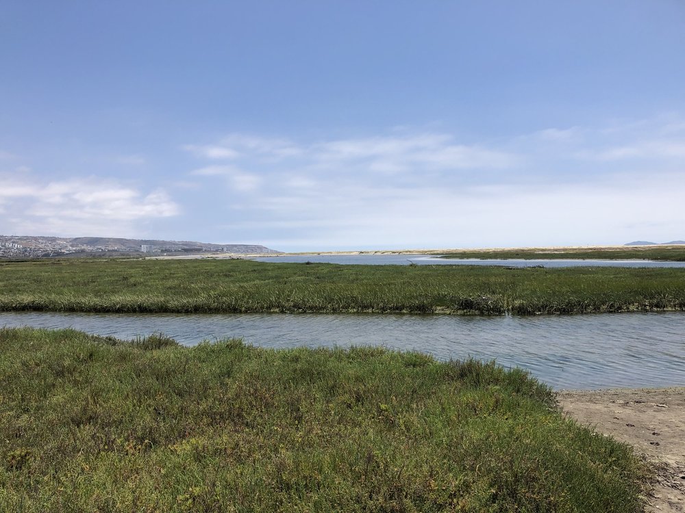 Urban Wildlife Refuge Program — The National Wildlife Refuge Association