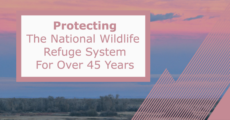 Protect — The National Wildlife Refuge Association