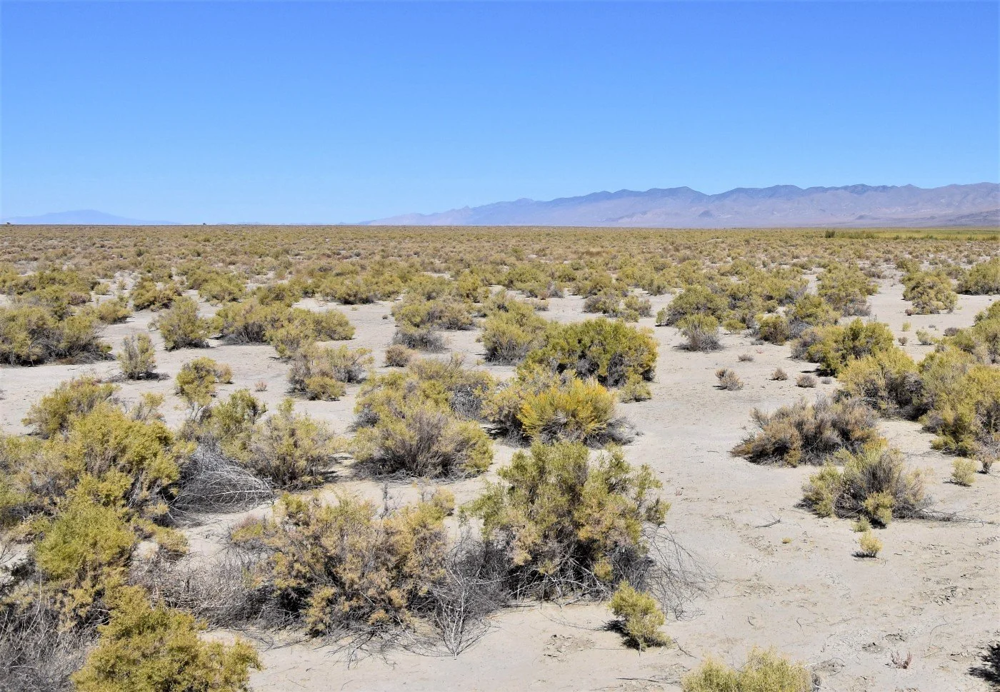 Protect — The National Wildlife Refuge Association