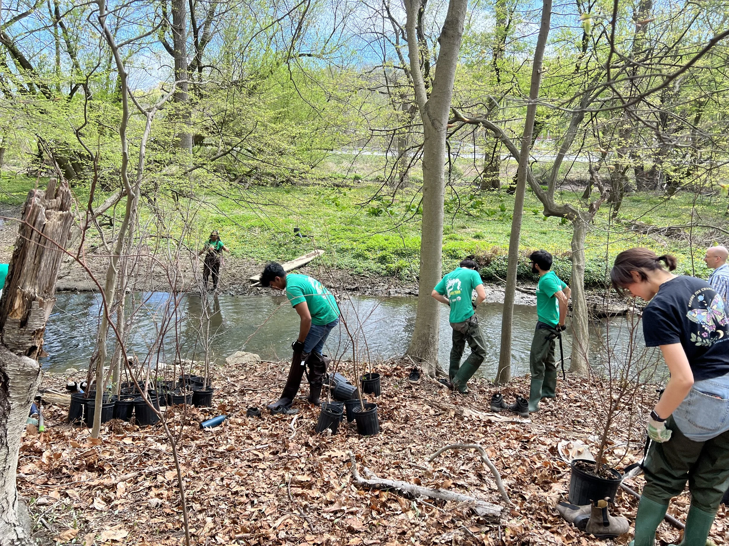 Urban— Northeast Urban Wildlife Refuge Project — The National Wildlife ...