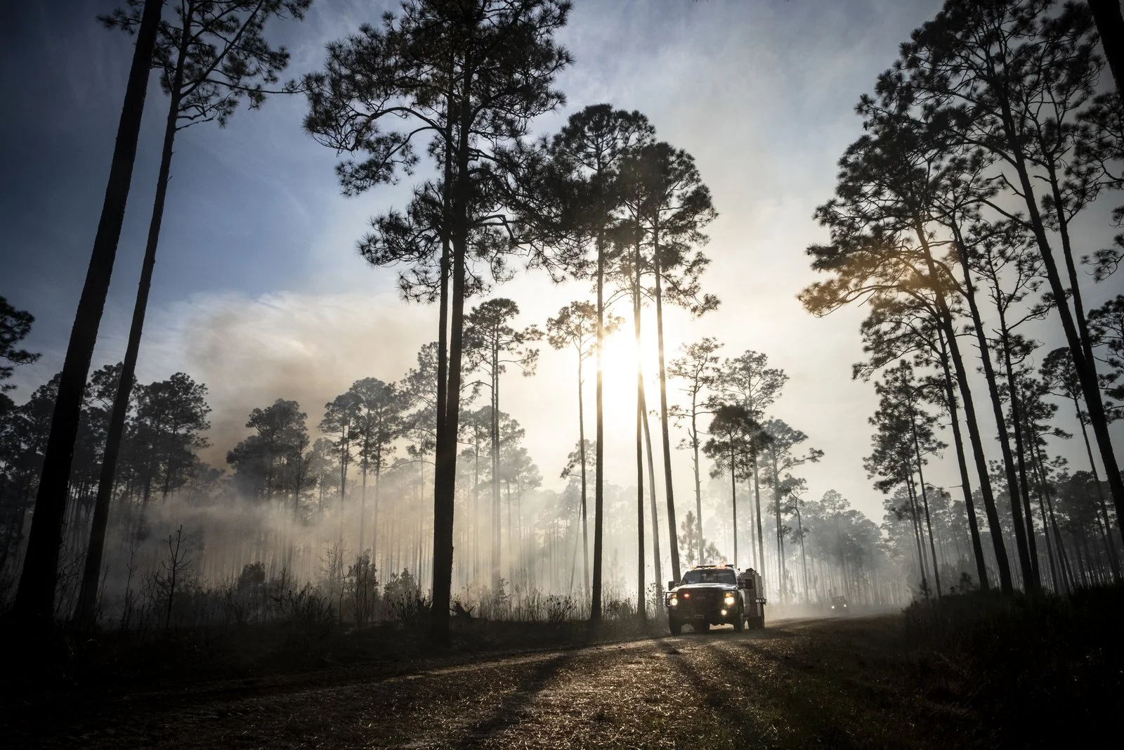 Igniting Change: A Visual Journey Into The USFWS Fire Program — The ...
