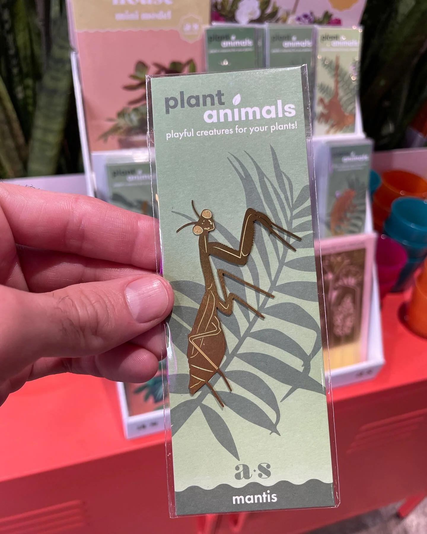 Daddy's Plants - Indoor Desert and Tropical Plants