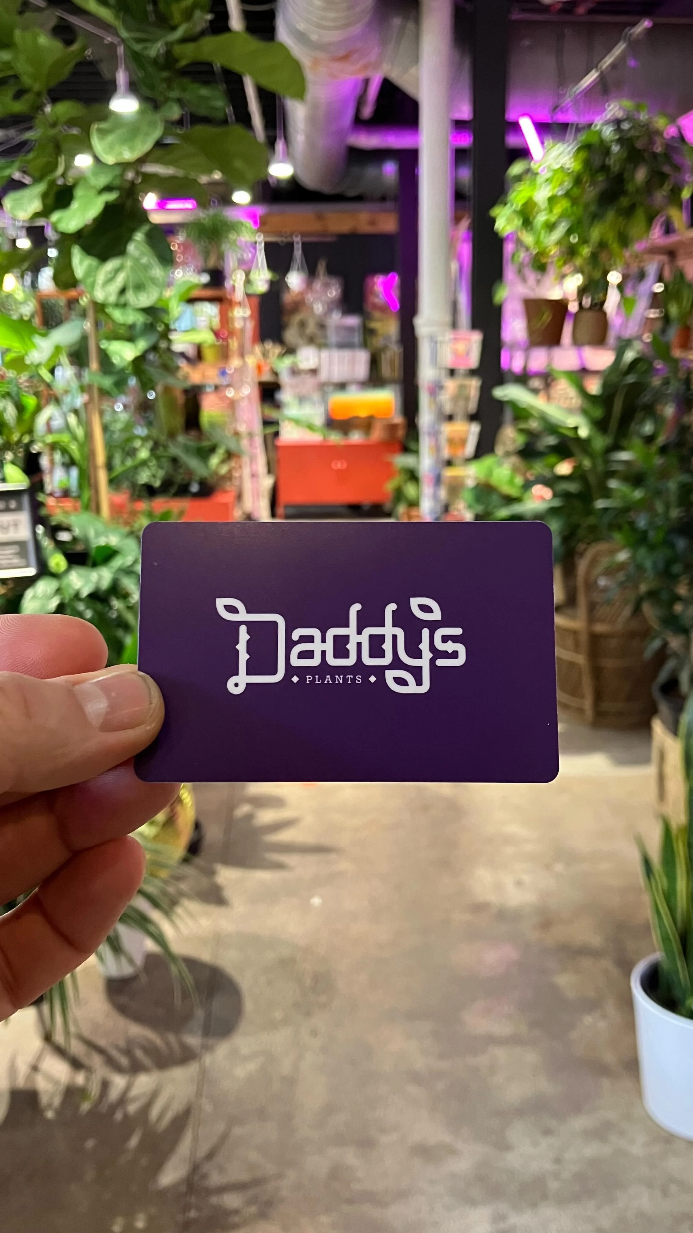 Daddy's Plants - Indoor Desert and Tropical Plants