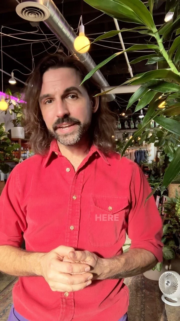 Daddy's Plants - Indoor Desert and Tropical Plants