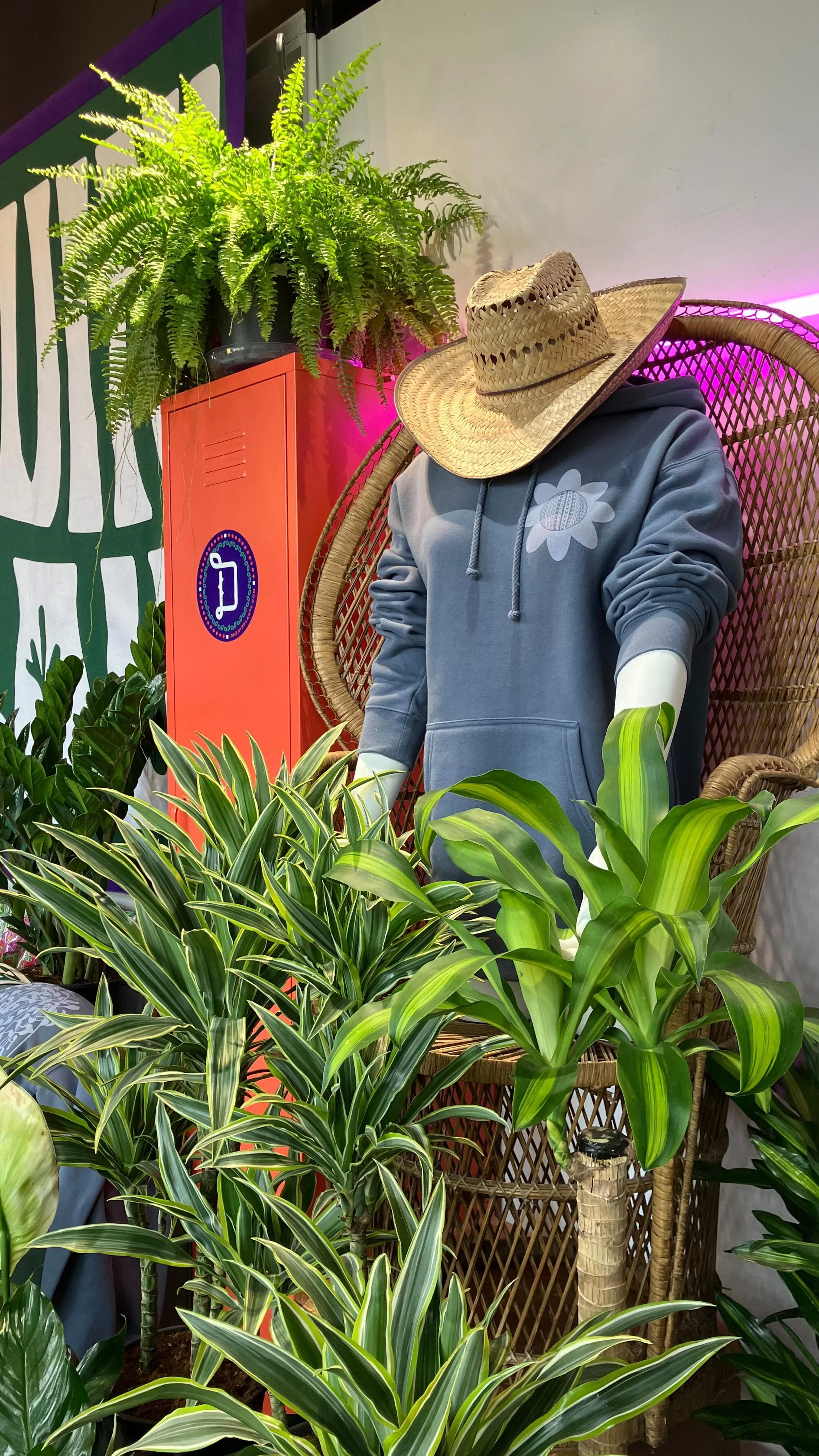 Daddy's Plants - Indoor Desert and Tropical Plants