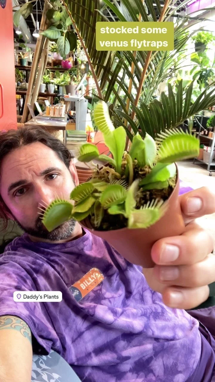 Daddy's Plants - Indoor Desert and Tropical Plants