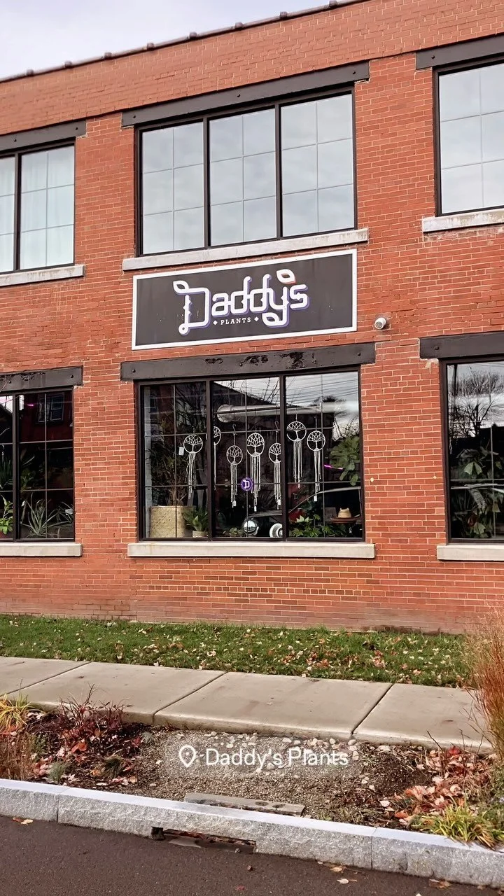 Daddy's Plants - Indoor Desert and Tropical Plants