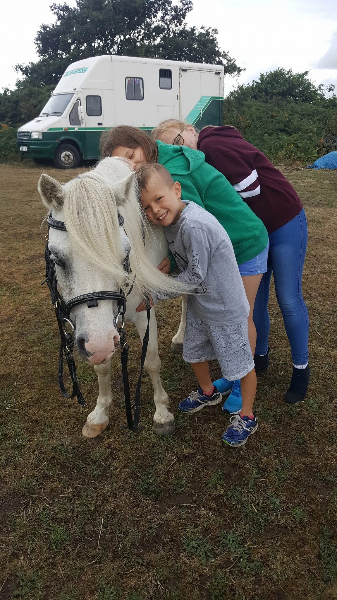 GALLERY — Happy Hooves Parties