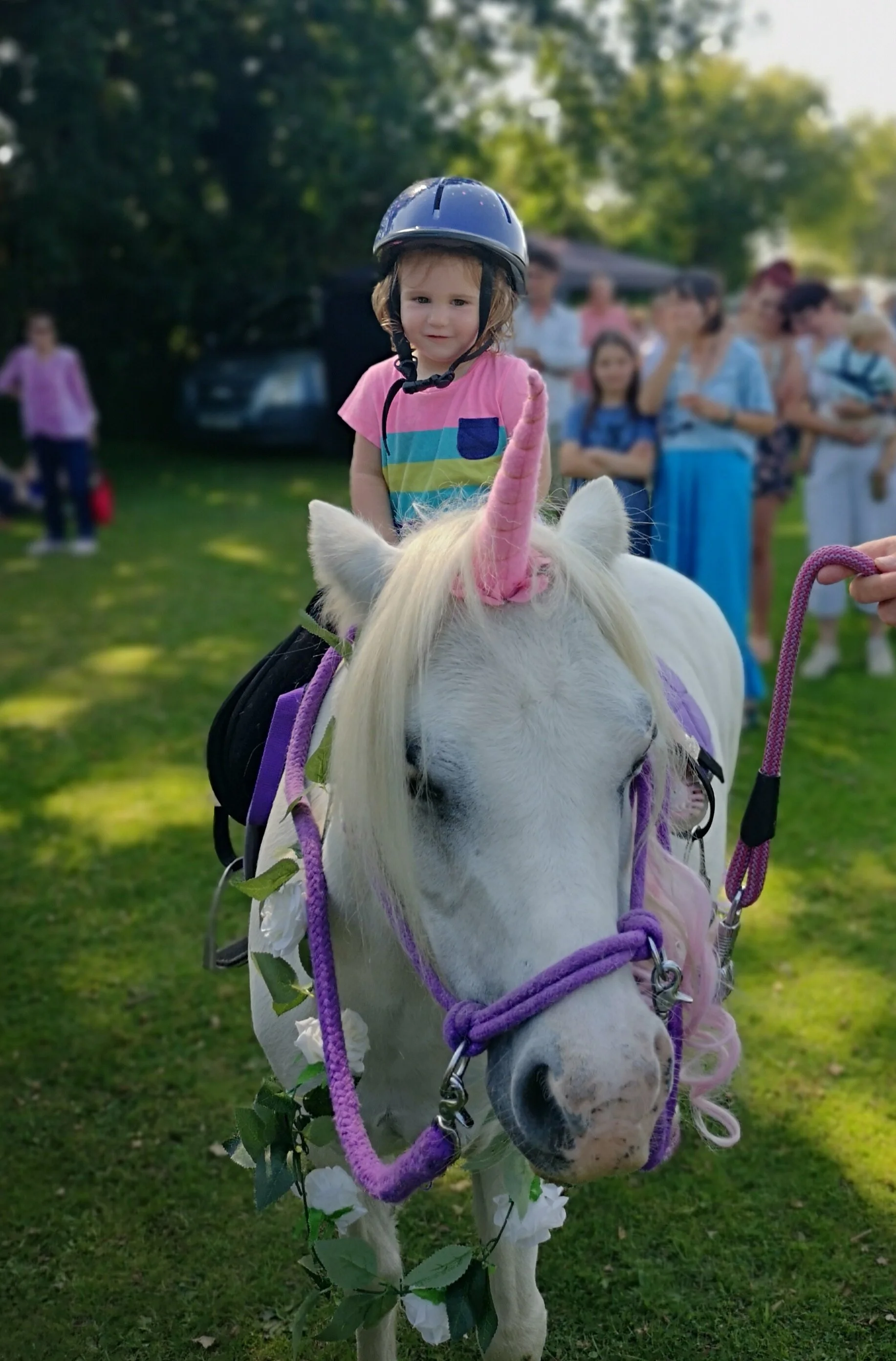 Happy Hooves Parties