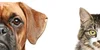 TOBIAS Mobile Veterinary Practice LLC