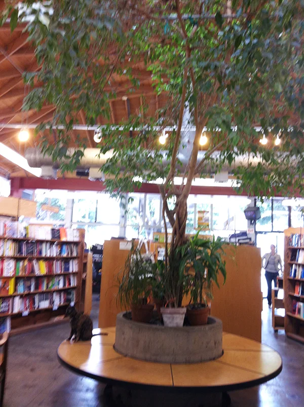Skylight Books from "Ruby Sparks" — Live the Movies