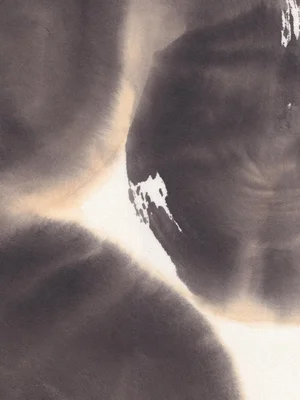 Taogram N°24 — Thoth Adan