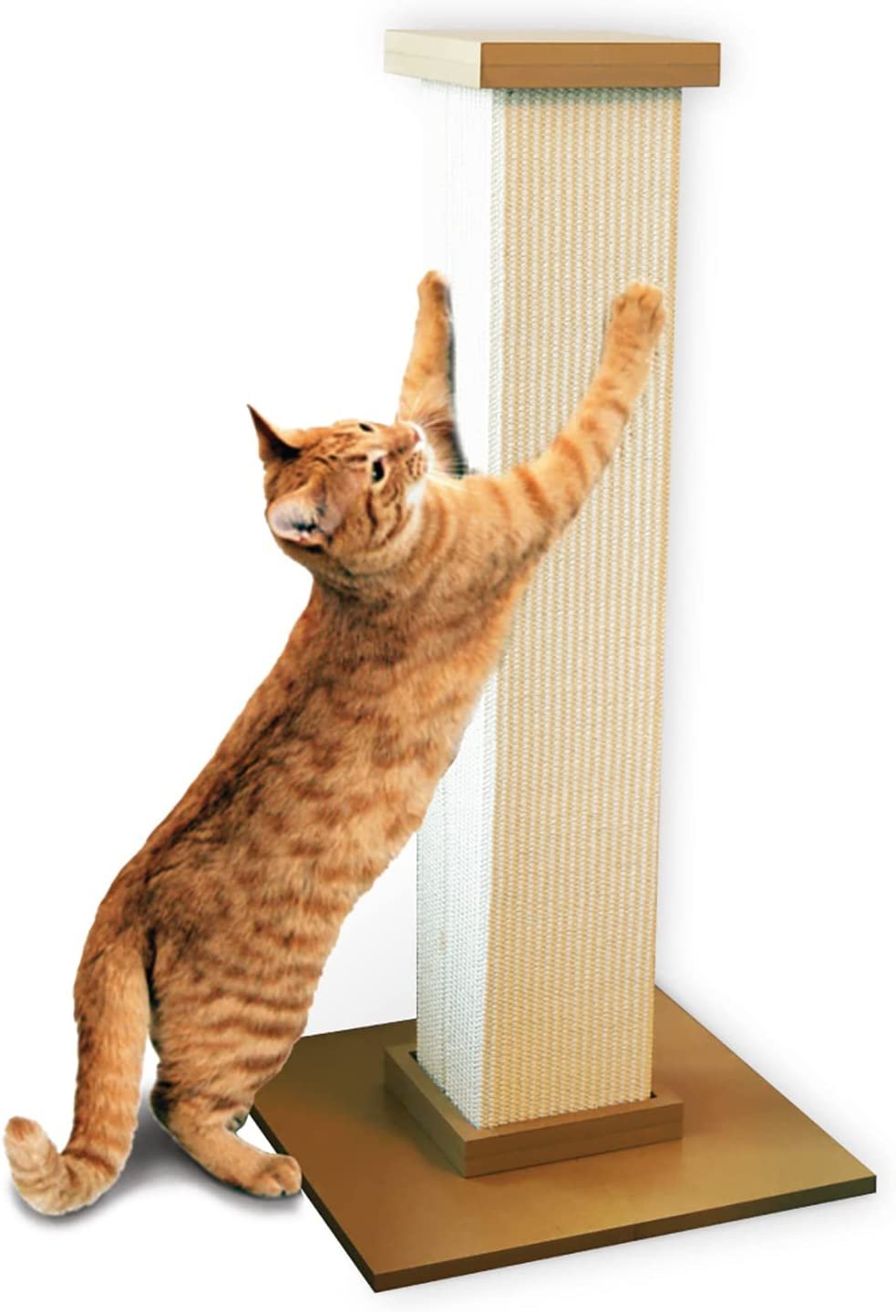 Catsumer Reports NAUGHTY CAT CAFE Catsumer Reports NAUGHTY CAT CAFE