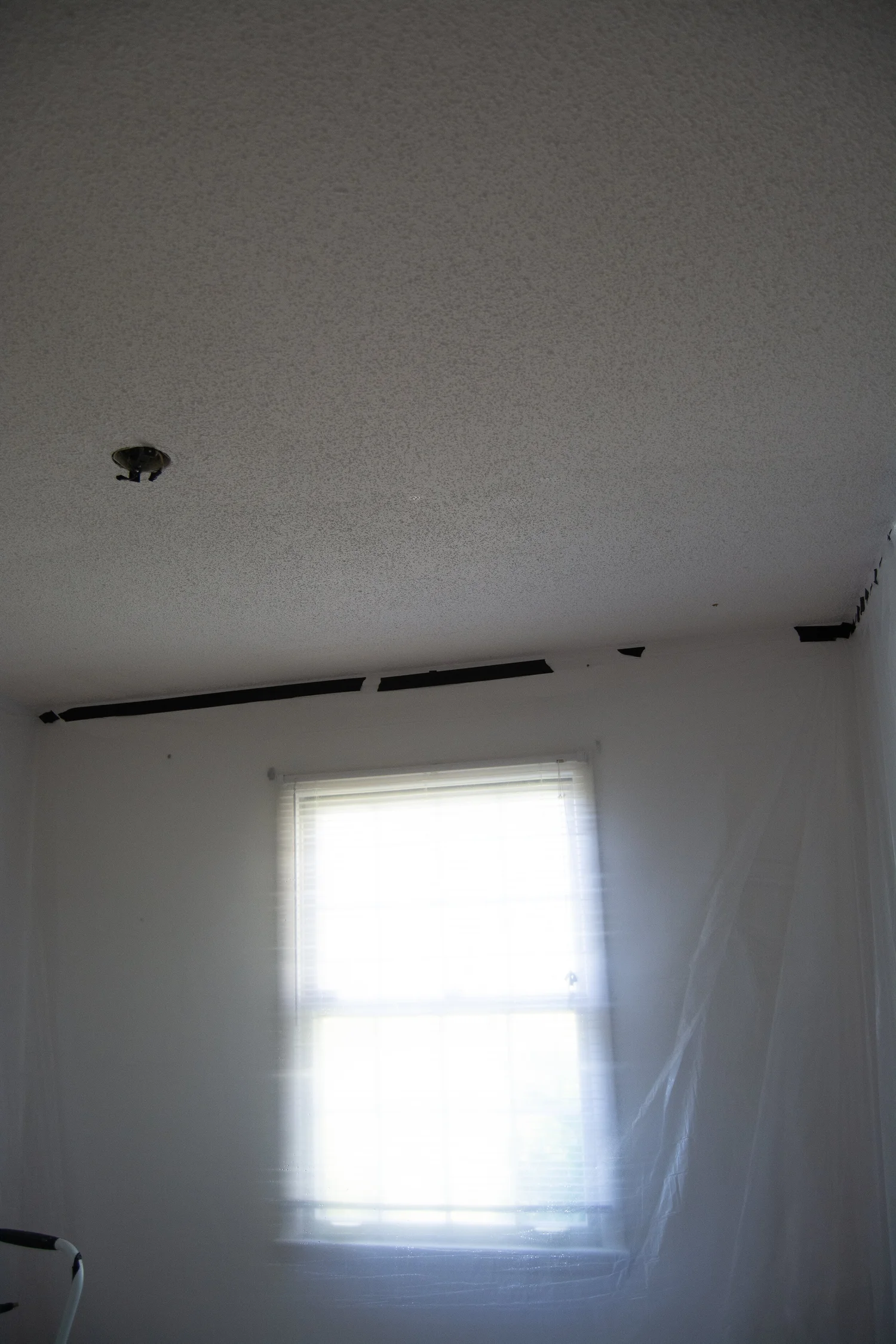 How to make your ceilings appear taller — Hausmatter