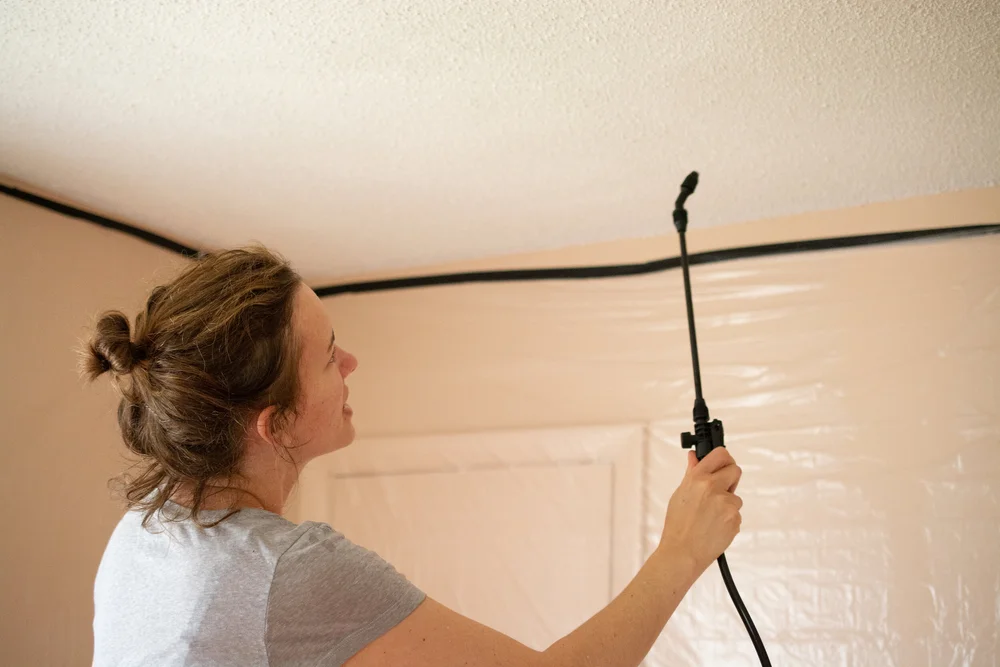 How to remove a popcorned ceiling and paint a light medallion — Hausmatter