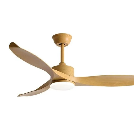 10 modern ceiling fans for every room — Hausmatter