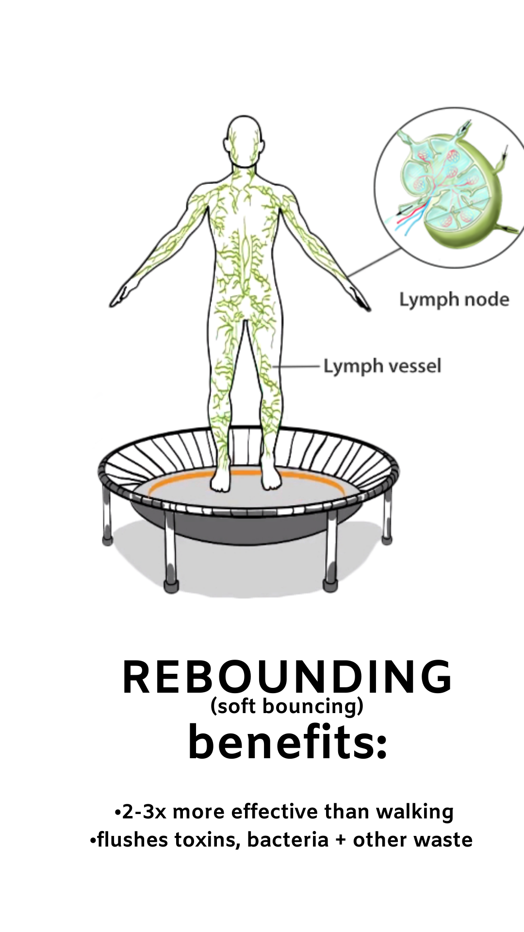 4 Ideas for Lymphatic Cleansing — Essentially Loved