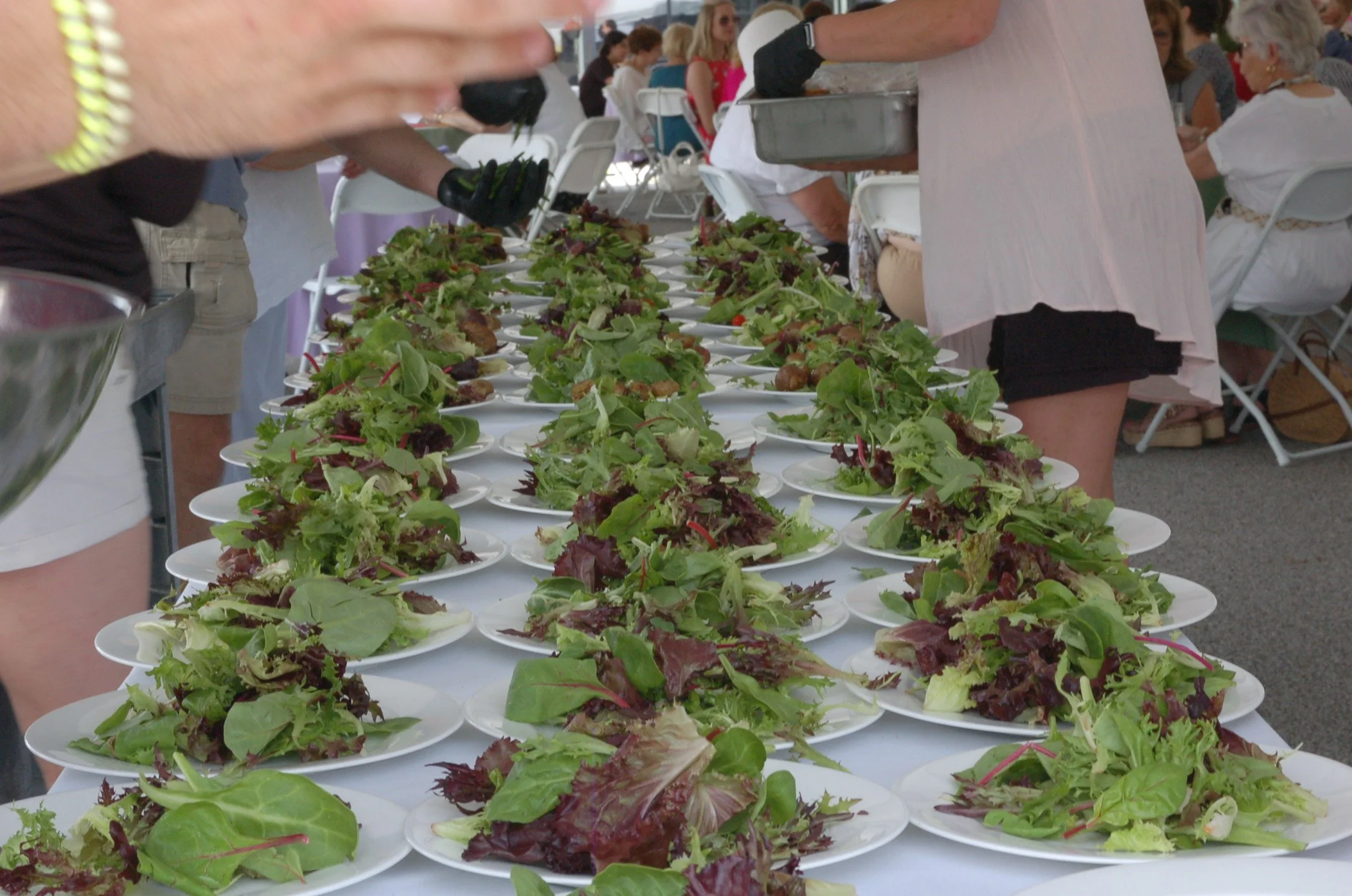 Herb Luncheon — Lavender Festival