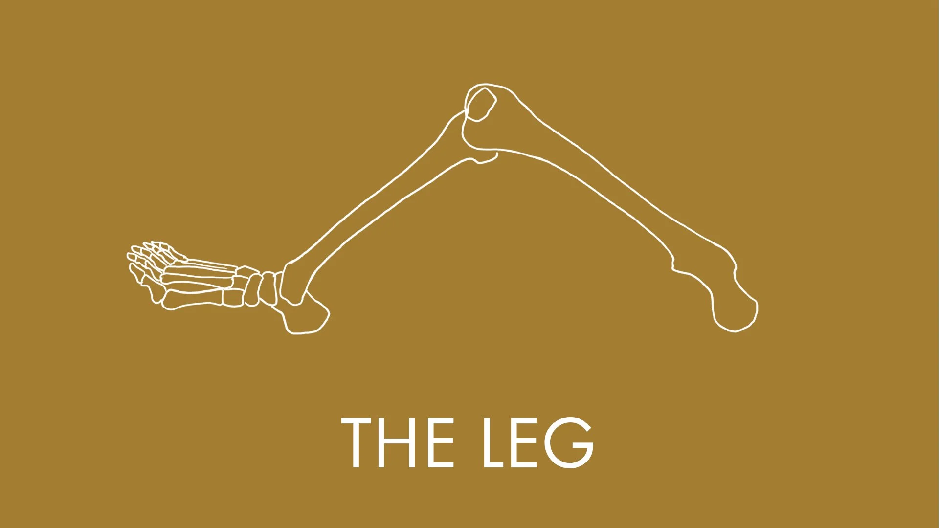 Relax Release Relief