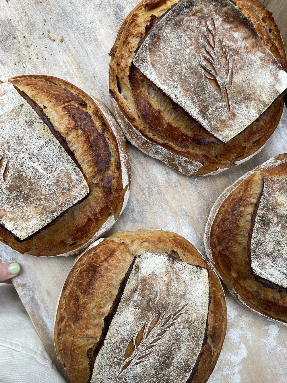 About — Bonny Breads