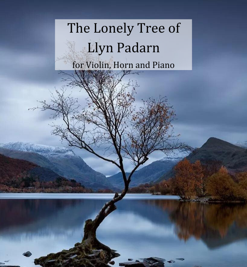 The Lonely Tree of Llyn Padarn — Sarah Frances Jenkins