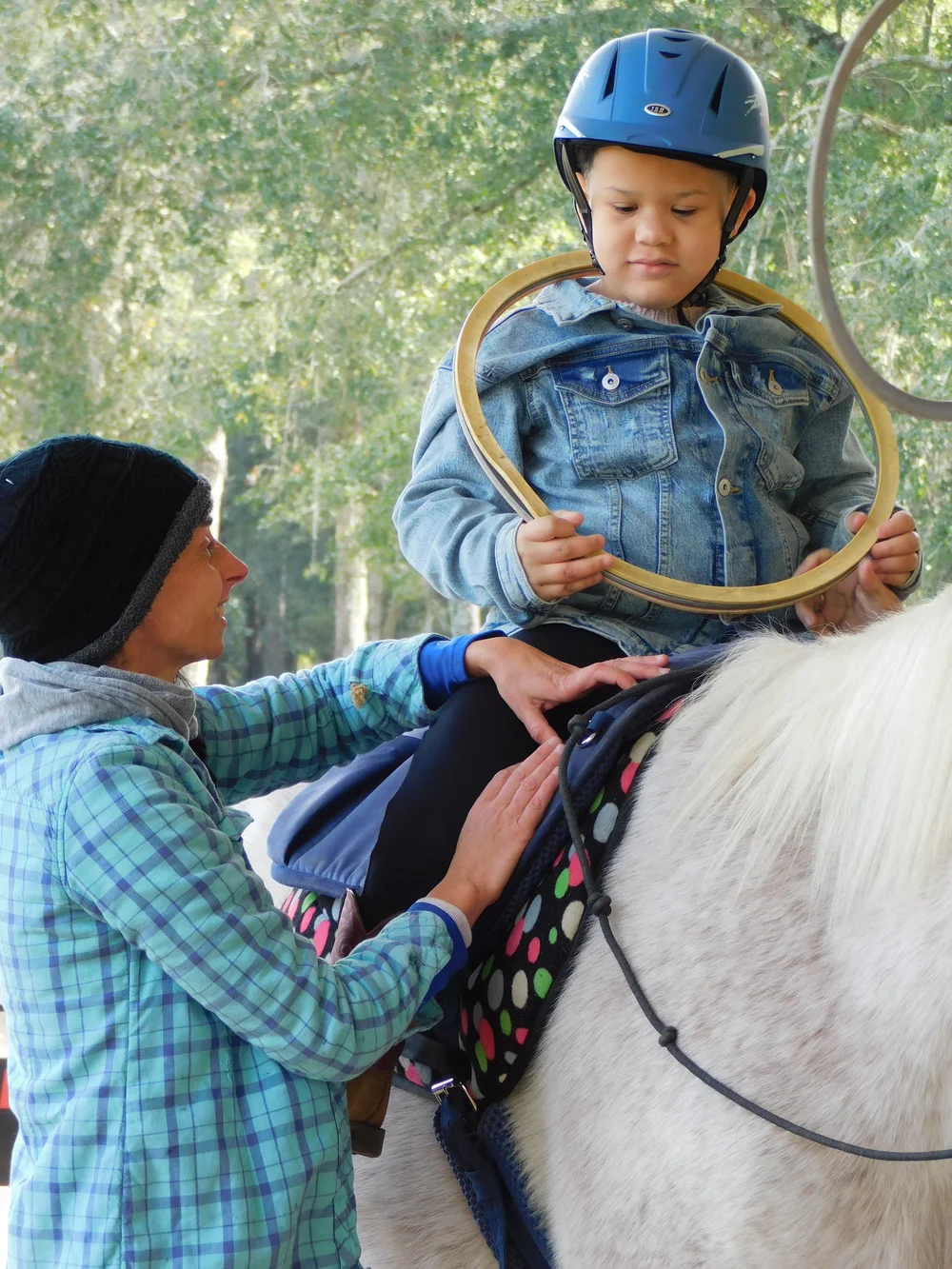 Equine Assisted Activities and Therapy — Hope Therapy