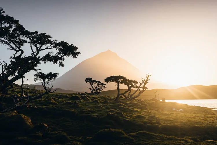 Les Açores | Visiter Pico l’île la plus volcanique en 3 jours — French ...