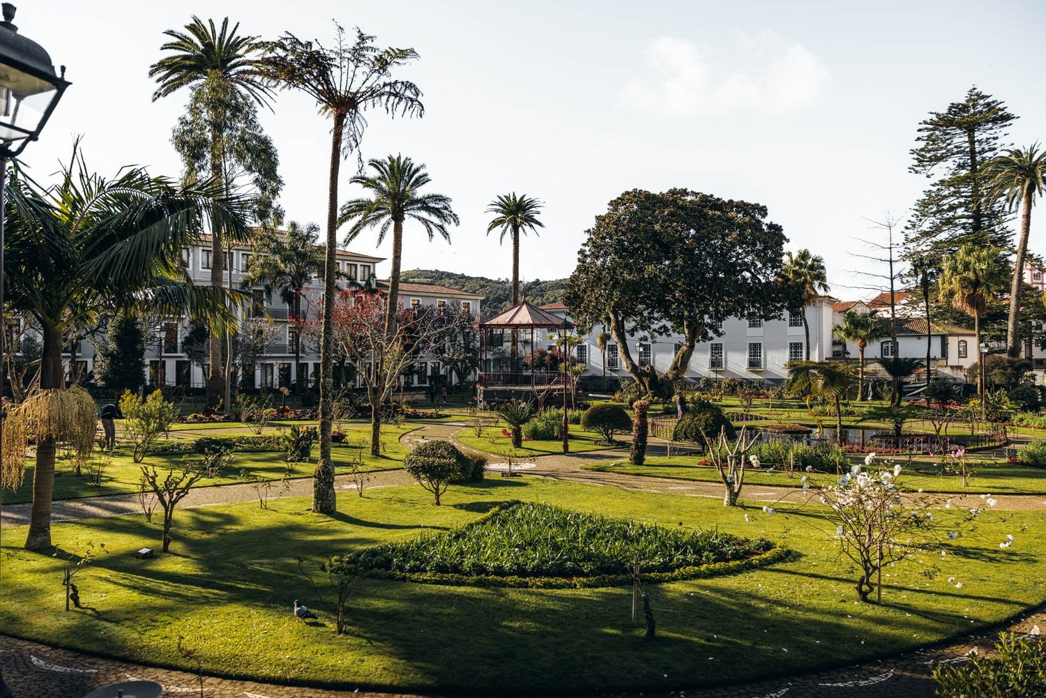 Les Açores | Visiter Terceira, l’île verte par nature en 3 jours ...