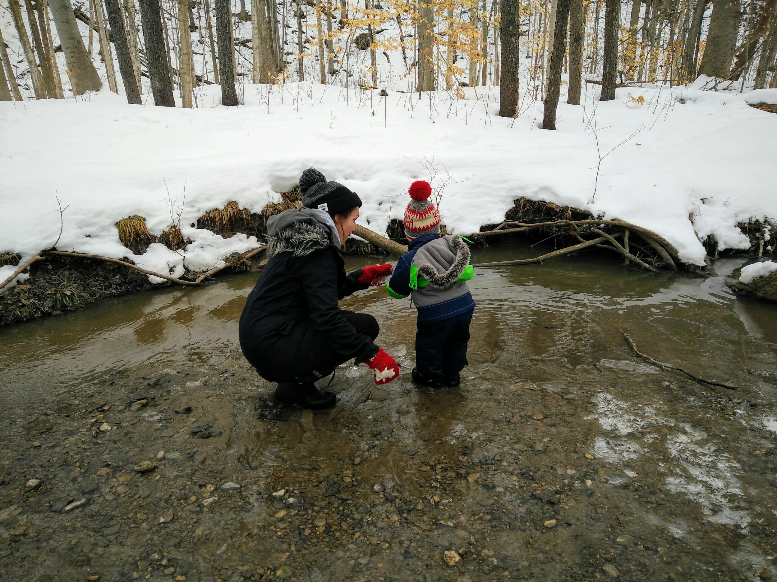 WILD CHILD Wintermission: More Ice Exploration — Childreach