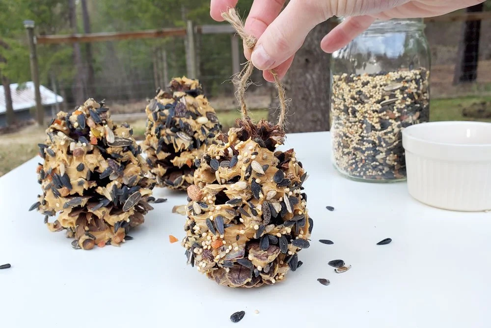 DIY: Eco-Friendly Bird Feeders for Kids — Childreach