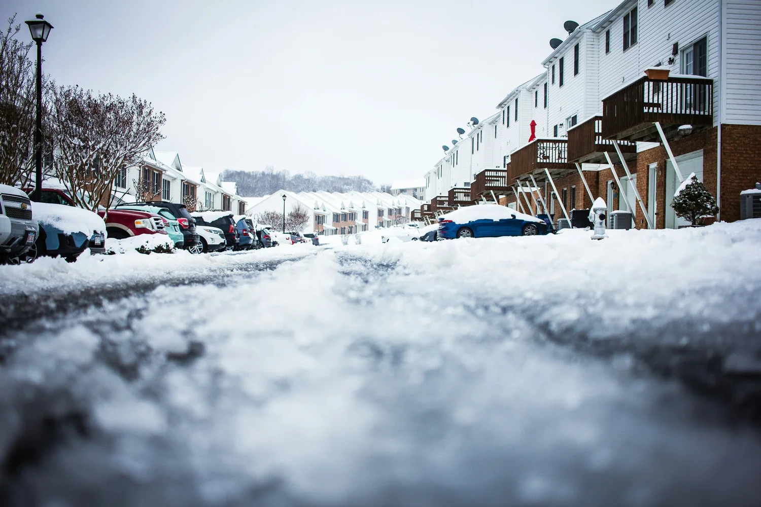 Winter Wonders: Exploring Different Types of Snow — Childreach