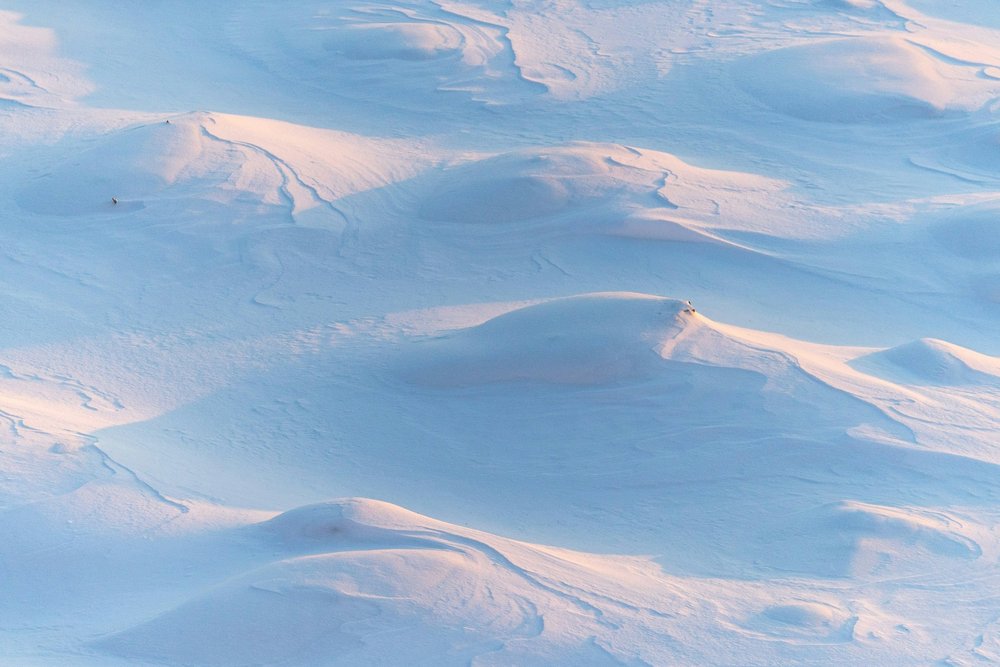 Winter Wonders: Exploring Different Types of Snow — Childreach