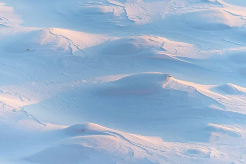 Winter Wonders: Exploring Different Types of Snow — Childreach