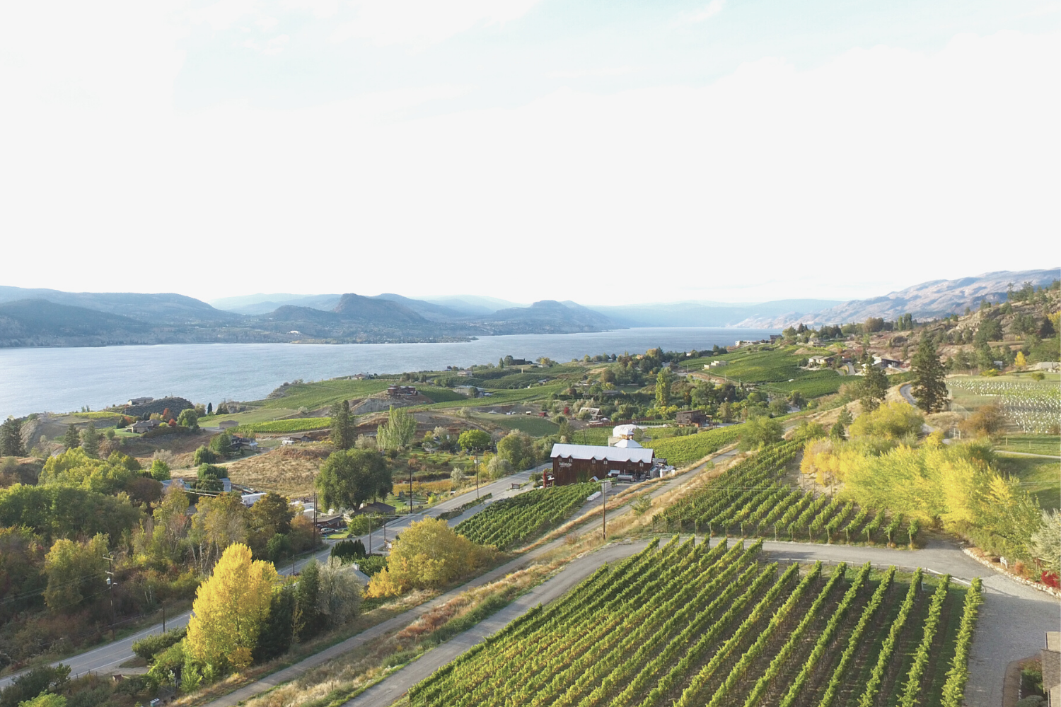 Hillside Winery — Discover Naramata