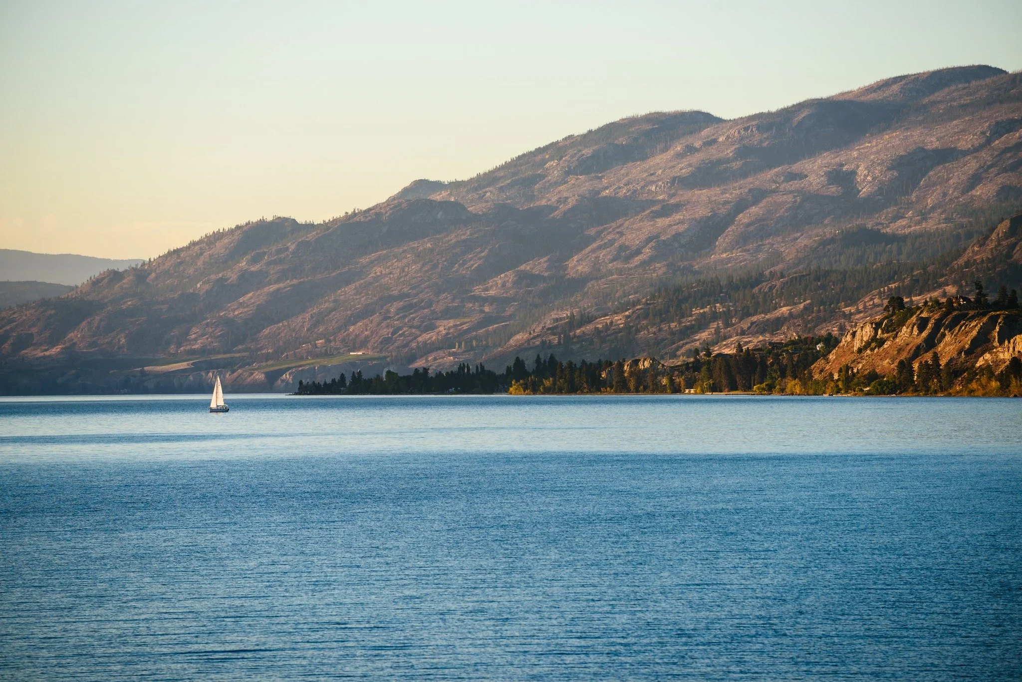 Discover Naramata
