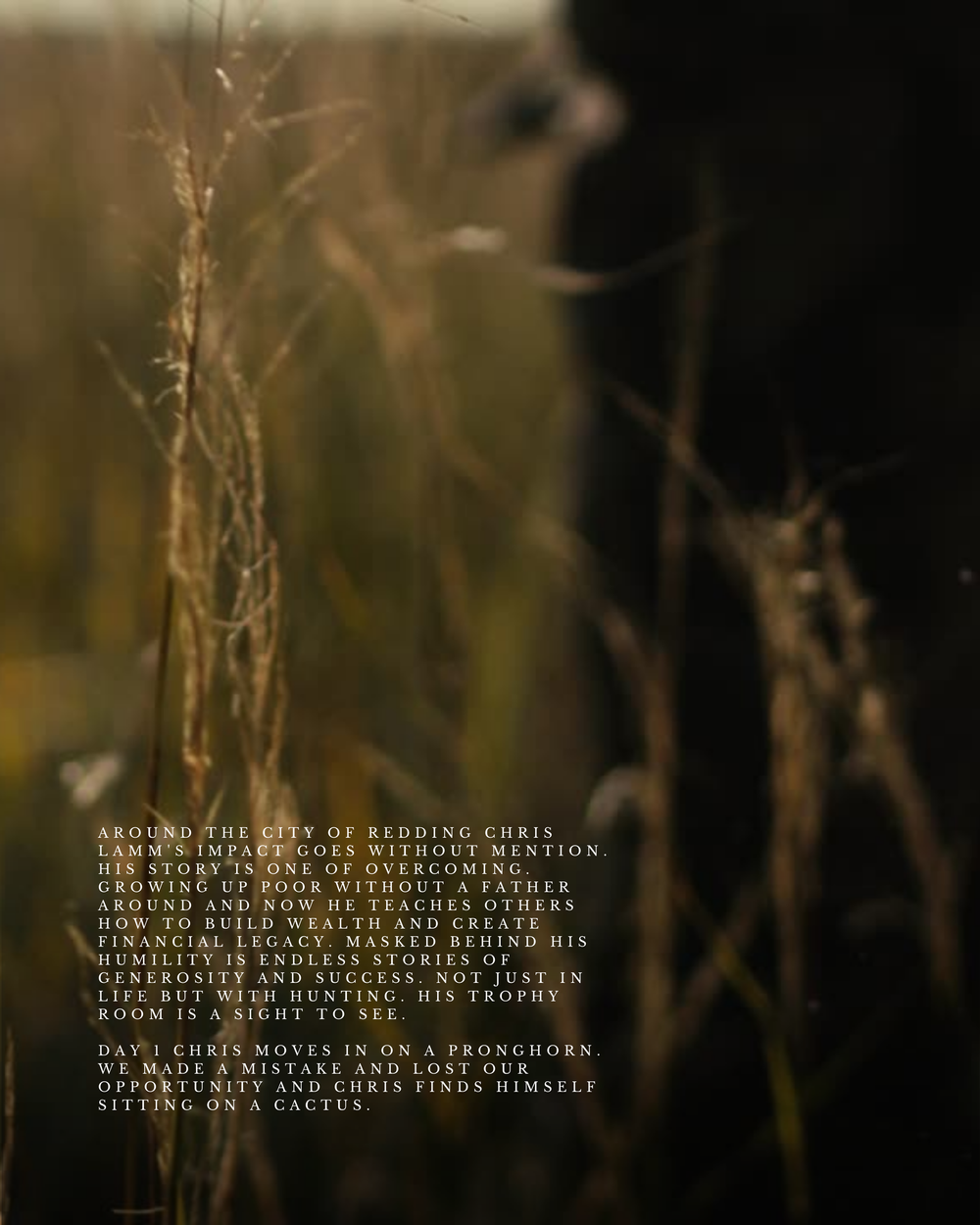 TRIPLE SEVEN — FIELD NOTE