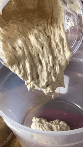 Everything You Need to Know About Sourdough Starter — Bread & Basil