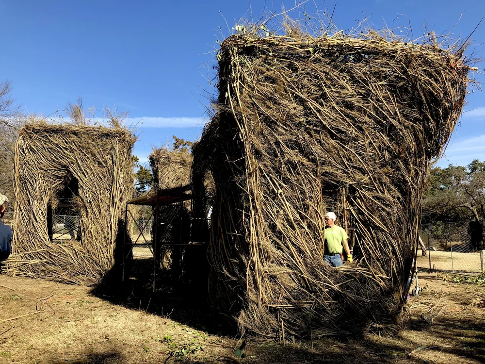 Art in the Park — Pease Park Conservancy