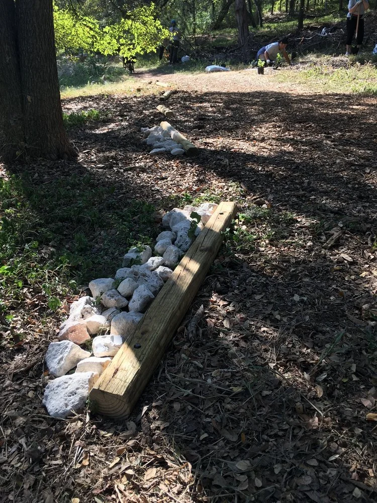 Conservation In The Park — Pease Park Conservancy