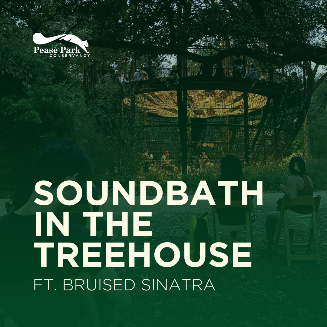 Sound Bath in the Treehouse: Bruised Sinatra — Pease Park Conservancy